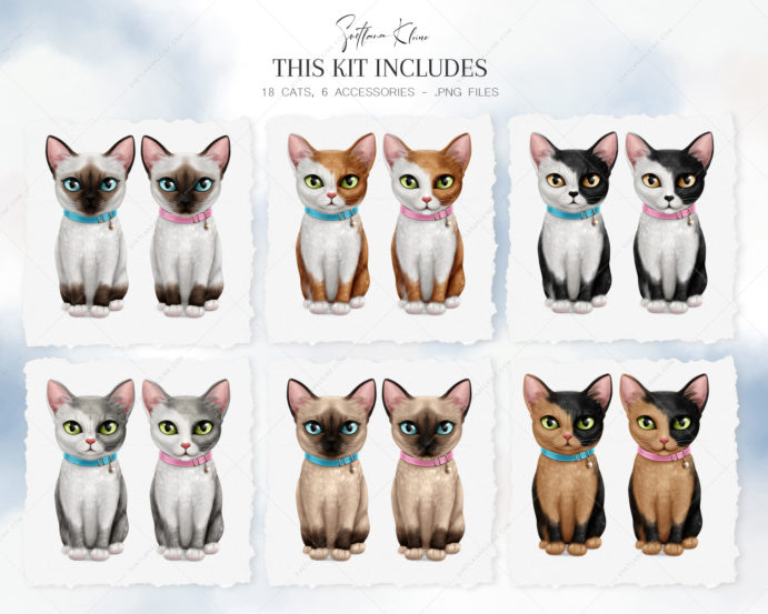 Cute Cats Clip Art Vol 1, Kittens PNG, Double Color Cats - Svetlana Kleine