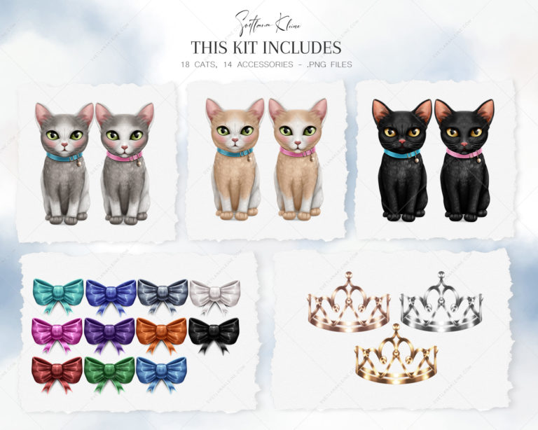 Cute Cats Clip Art Vol 3, Kittens PNG, Pretty Cats - Svetlana Kleine